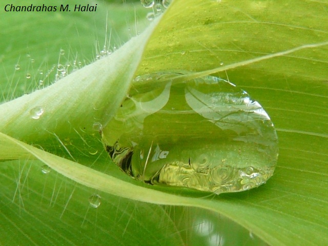 Chandrahas makes Vedic Maths easy - Indica Today