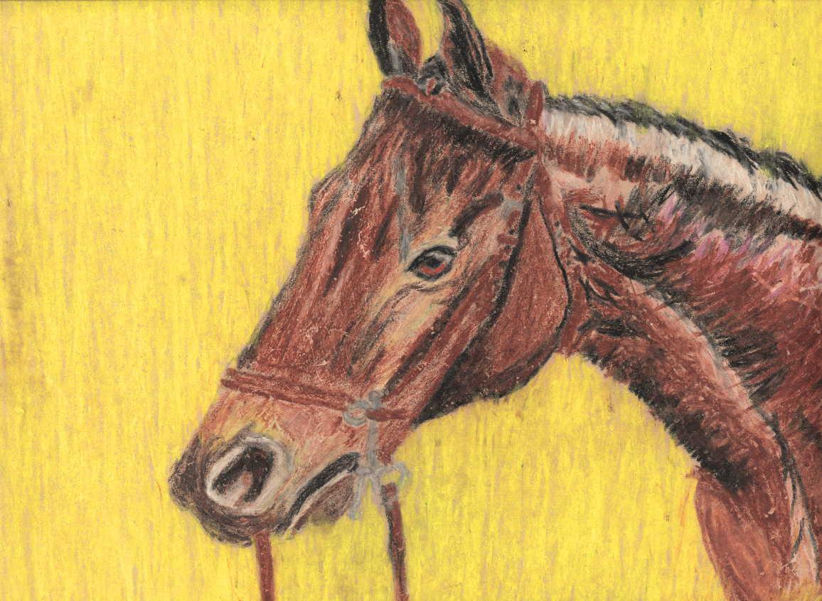 Chandrahas makes Vedic Maths easy - Indica Today