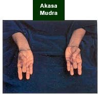 Mudra Vijnana: Hand Gestures in the Female Figures of Rani Ki Vav ...