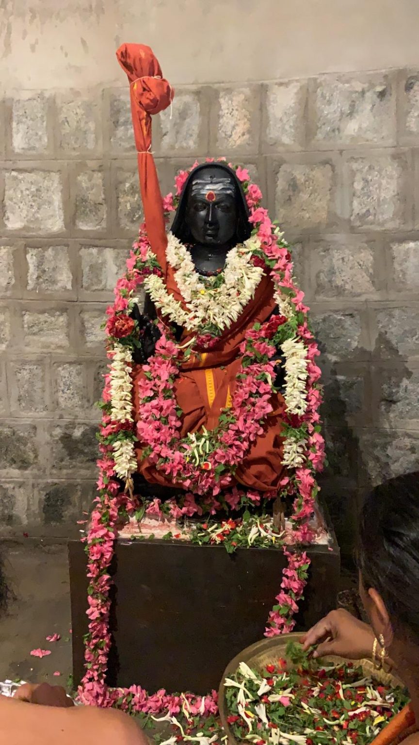 Interview With Smrithi Adinarayanan of Anaadi Foundation - Indic Today