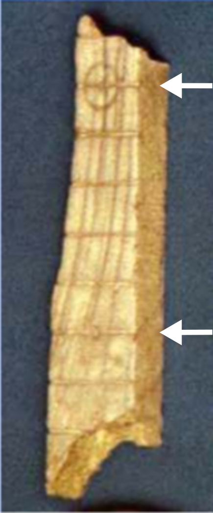 Units of Length Measurement and the Speed of Light in Ancient India ...