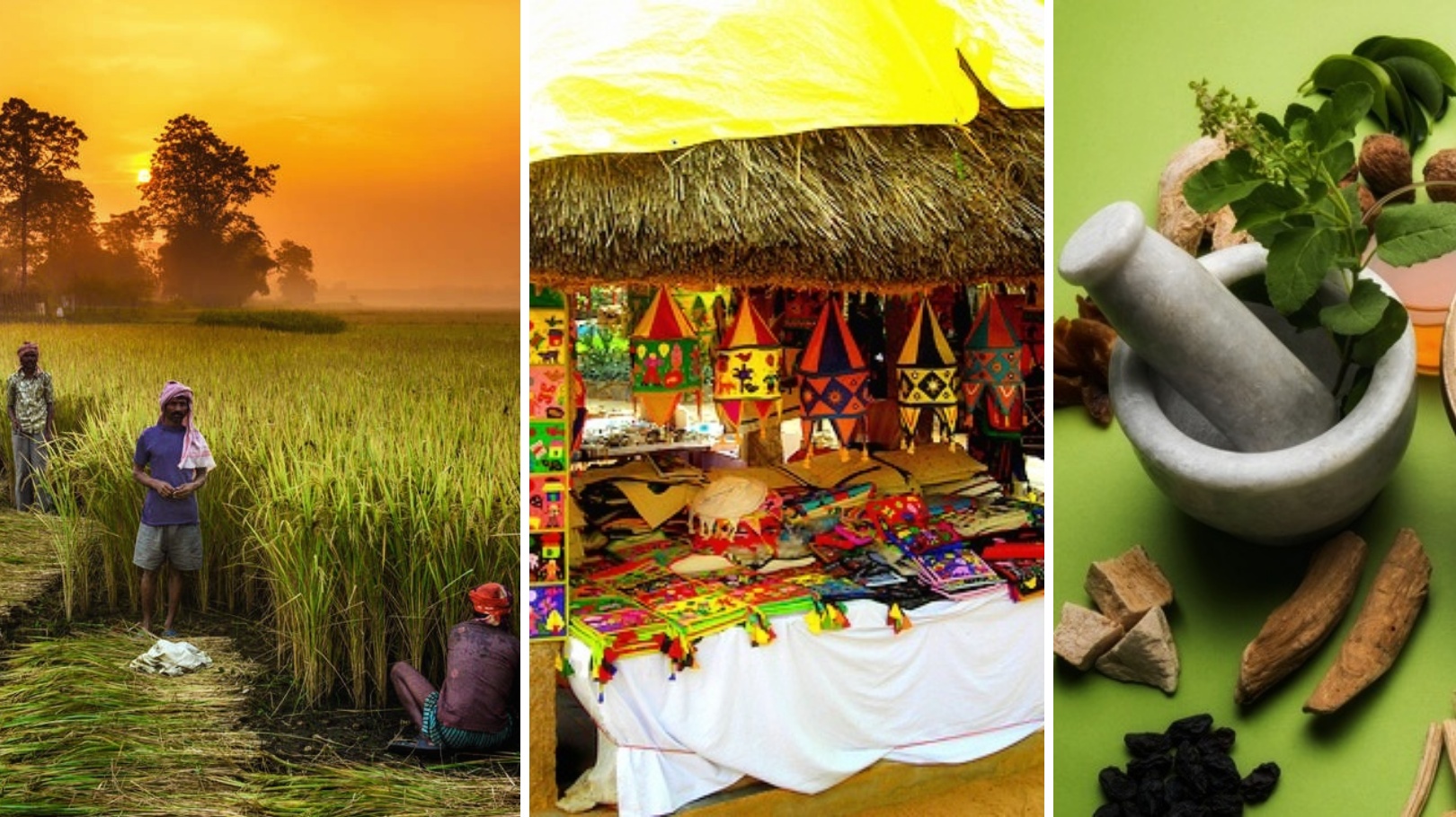 Short Term Research Fellowships at Center for Indigenous Sustainability ...