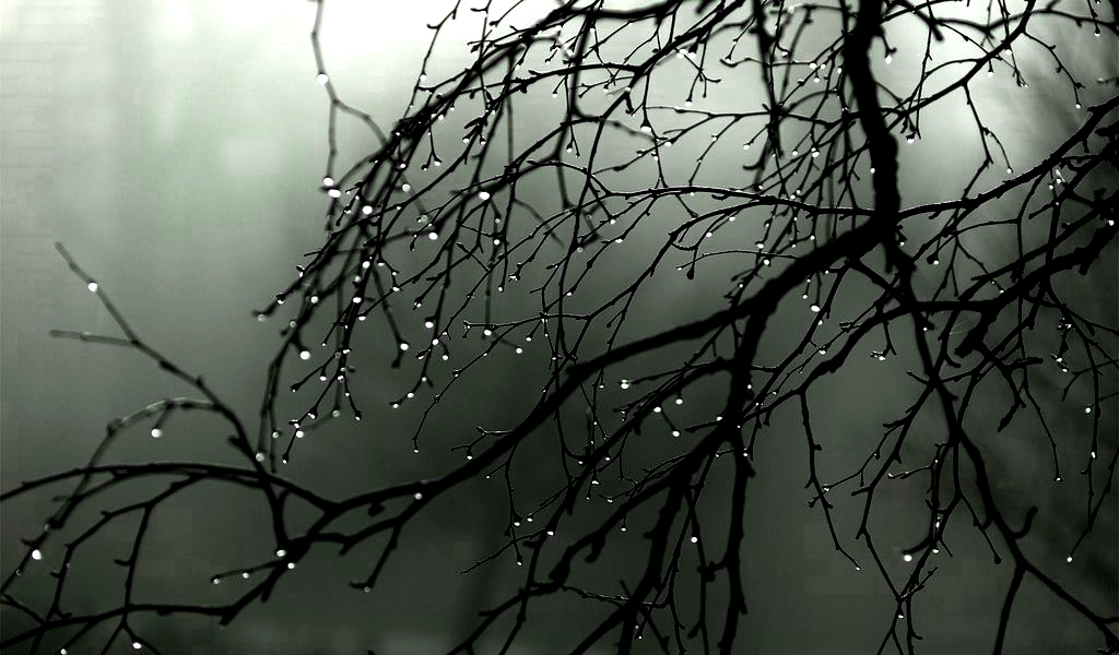 Southwest monsoons in Sanskrit kāvya - Indica Today