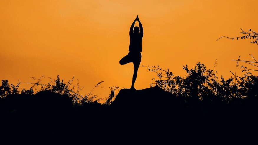 ŚABDA-YOGA: The Language Of Yoga Demystified – Part 3 - Indica Today