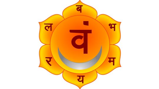 Understanding Hinduism: VII. Glossary Of Terms In Hinduism - Indica Today