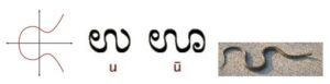 Spirals And Curves In The Paleographical Evolution Of Kannada Alphabets ...
