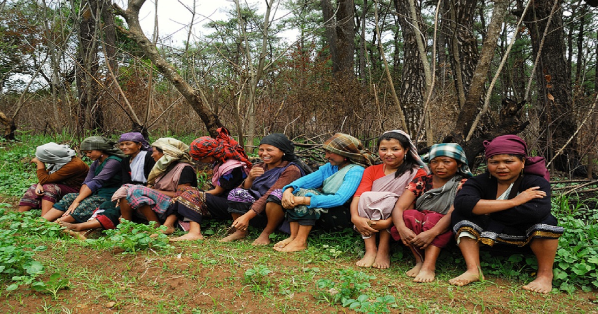 Women and Nature: Locating Ecofeminism in Indian context - Indica Today